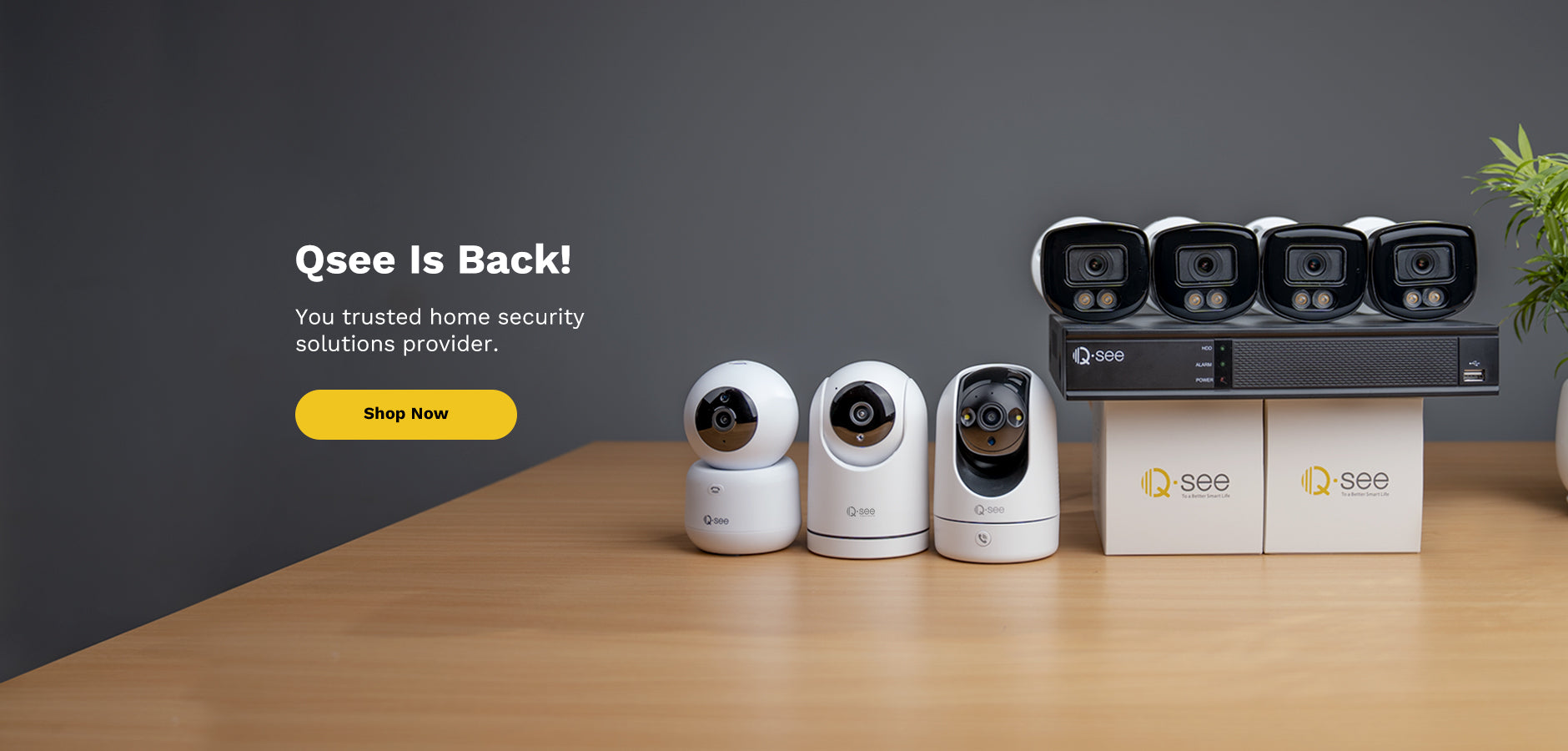 Qsee - Your Trusted U.S. Security Solutions Provider